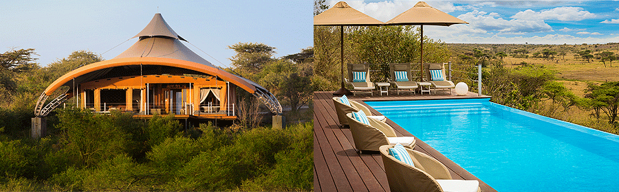 What Are the Best Luxury Camps in Masai Mara for the Migration?